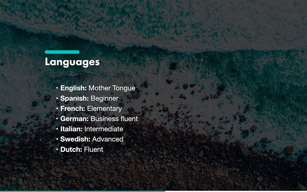 Professional Profile Template | Free PDF & PPT Download