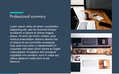 Professional Profile Template [Customizable]