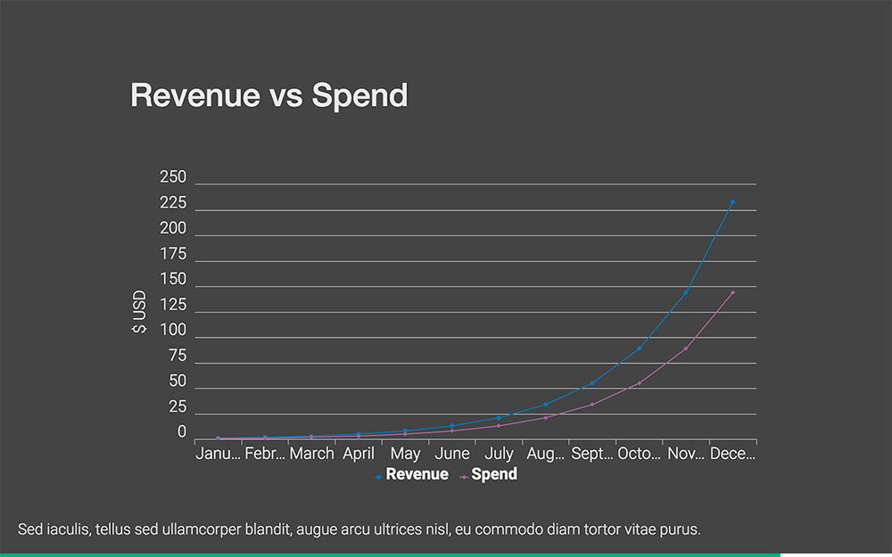 Investor Update Presentation | Free & Fully Customizable