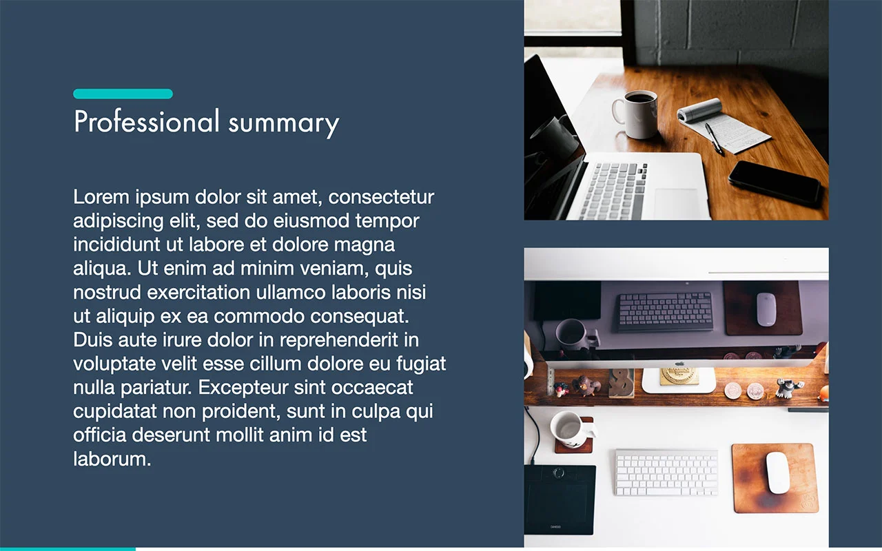 Professional Profile Template [Customizable]