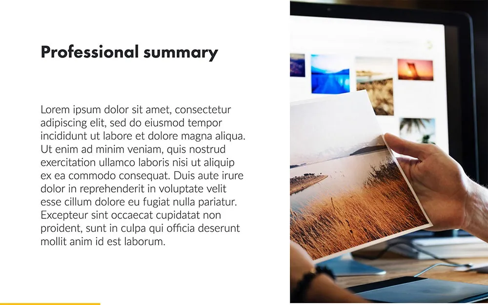 Resume [Customizable]