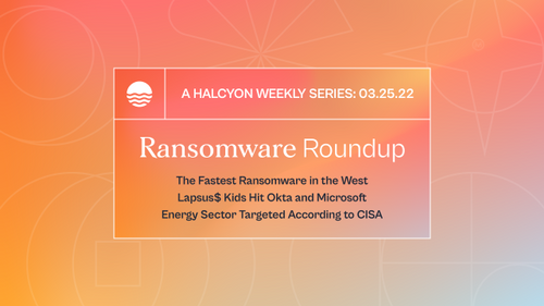 Cybersecurity Resources to Fight Ransomware | Halcyon.ai