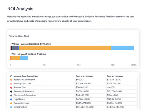 Cybersecurity Resources to Fight Ransomware | Halcyon.ai