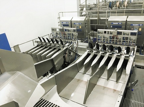 Benefiting from Increased Quality and Efficiency Offered by BAADER - BAADER