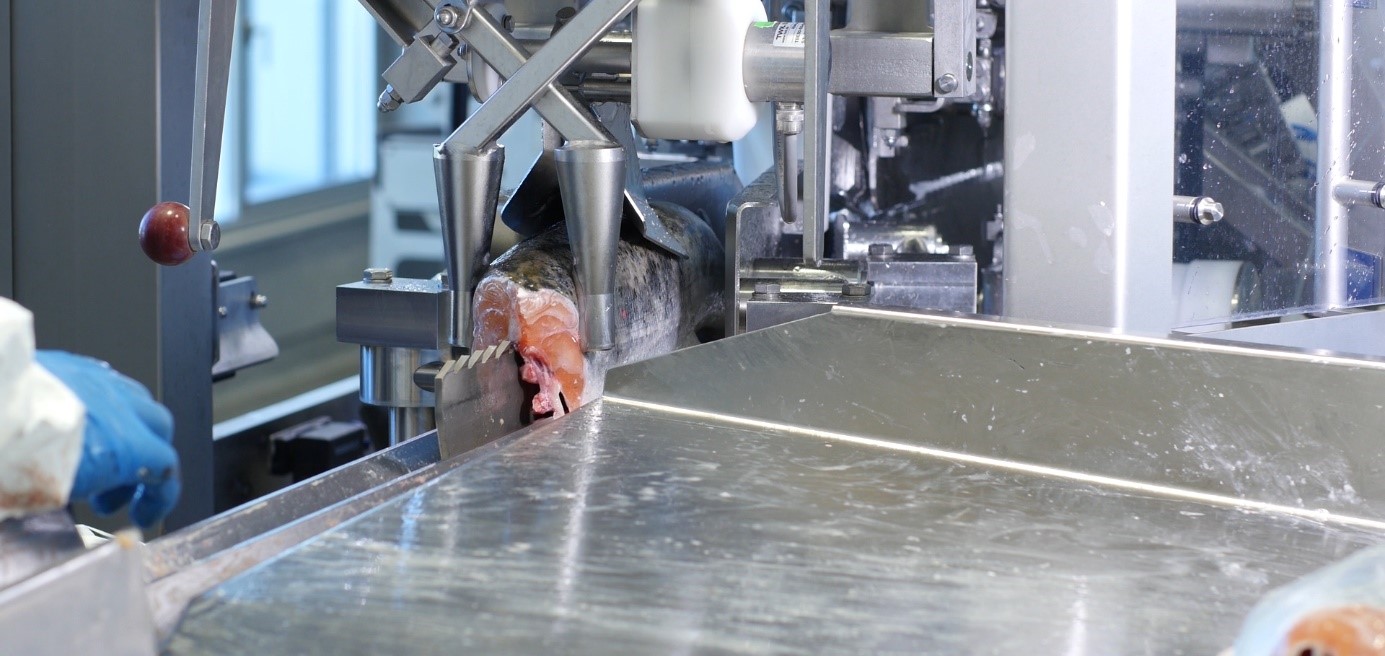 A NEW Game-changer at the Heart of Salmon Processing - BAADER