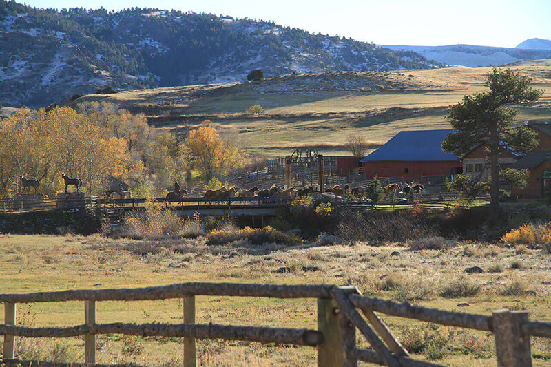 Our Place at the Powderhorn Ranch | Douglas, Wyoming
