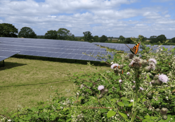 Aura Power | Solar Energy
