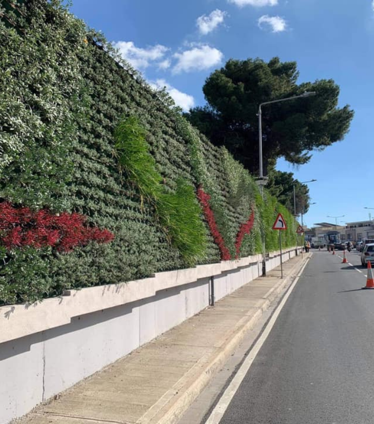 Green walls and Roof Gardens - Derek Garden Centre
