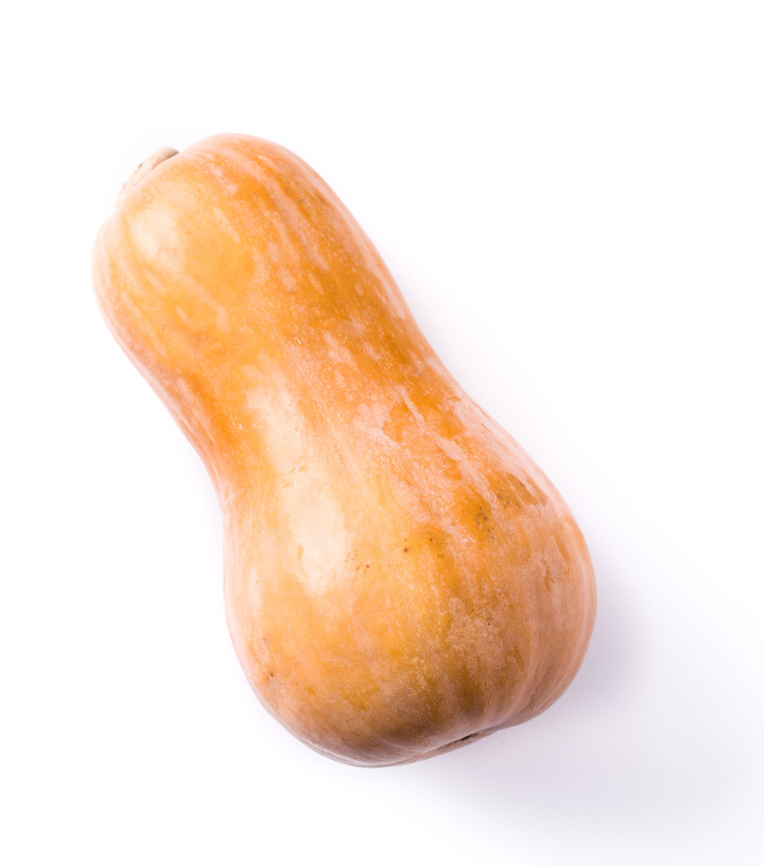 Pumpkin (Butternut) Seeds - Derek Garden Centre Malta