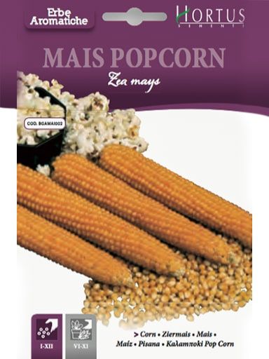 Mais Popcorn Cinema Seeds - Derek Garden Centre Malta