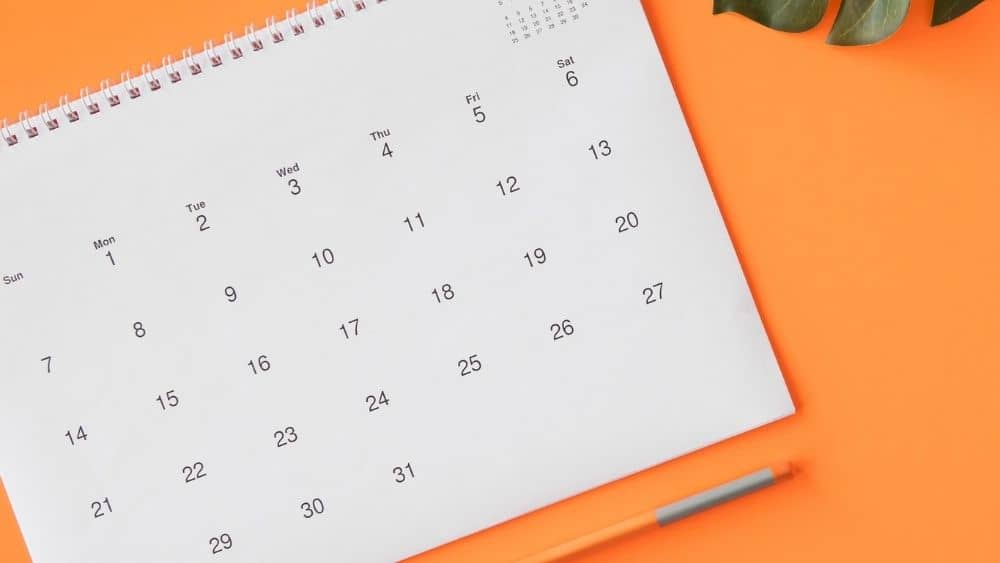 How Often To Send Email Marketing And When The Seguno Blog