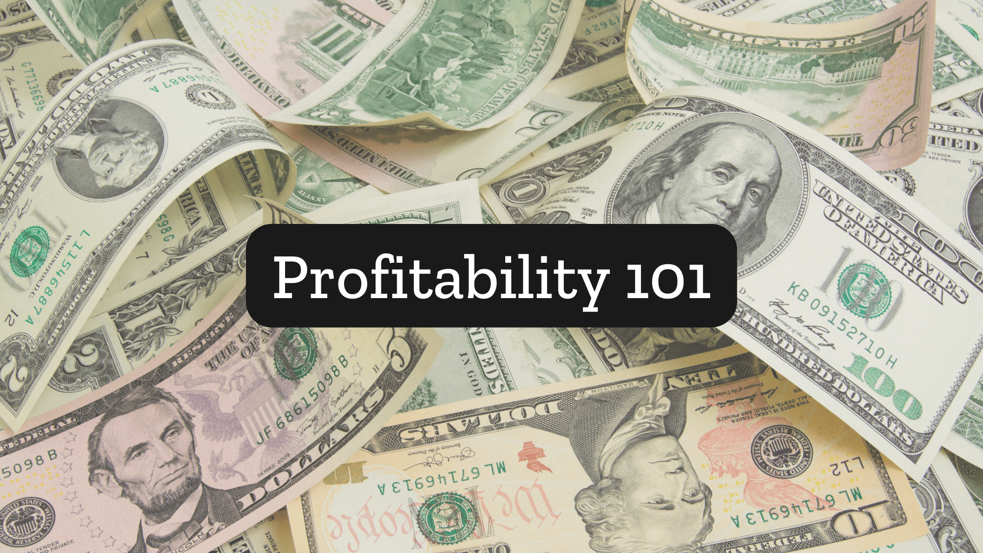 What are the basics behind profitability? | The Seguno Blog