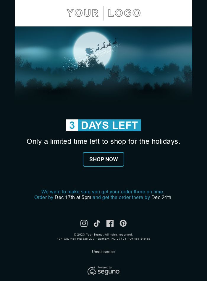 Holiday Shipping Email Templates | Seguno