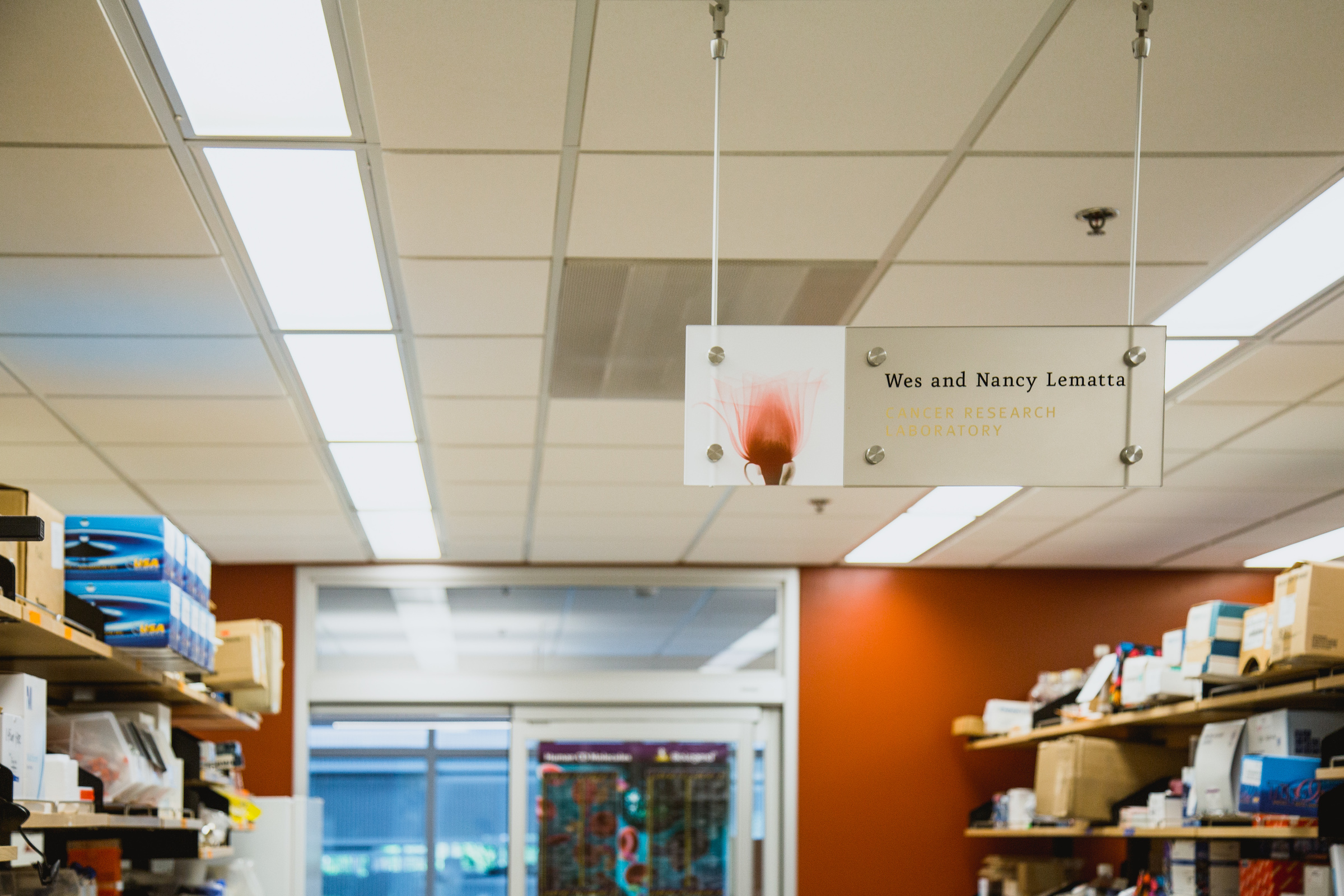 50+ Examples of Donor Recognition and Success Stories – Blog ...