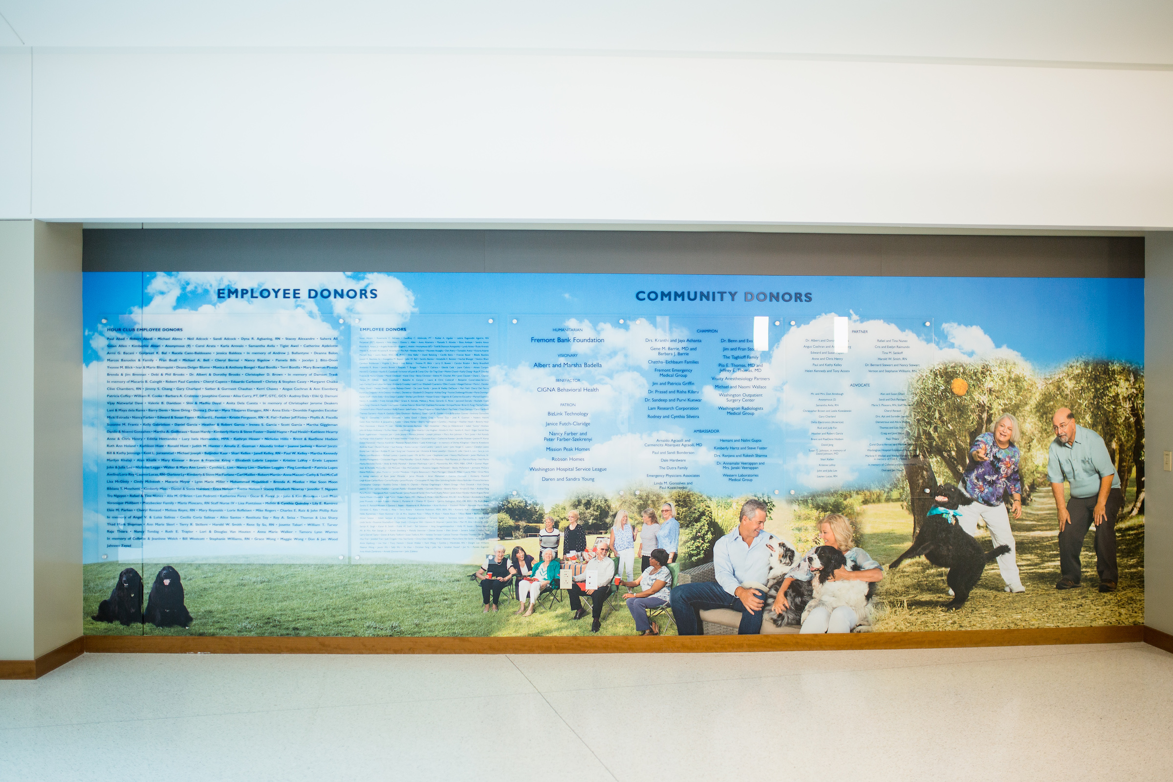 50+ Examples of Donor Recognition and Success Stories – Blog ...