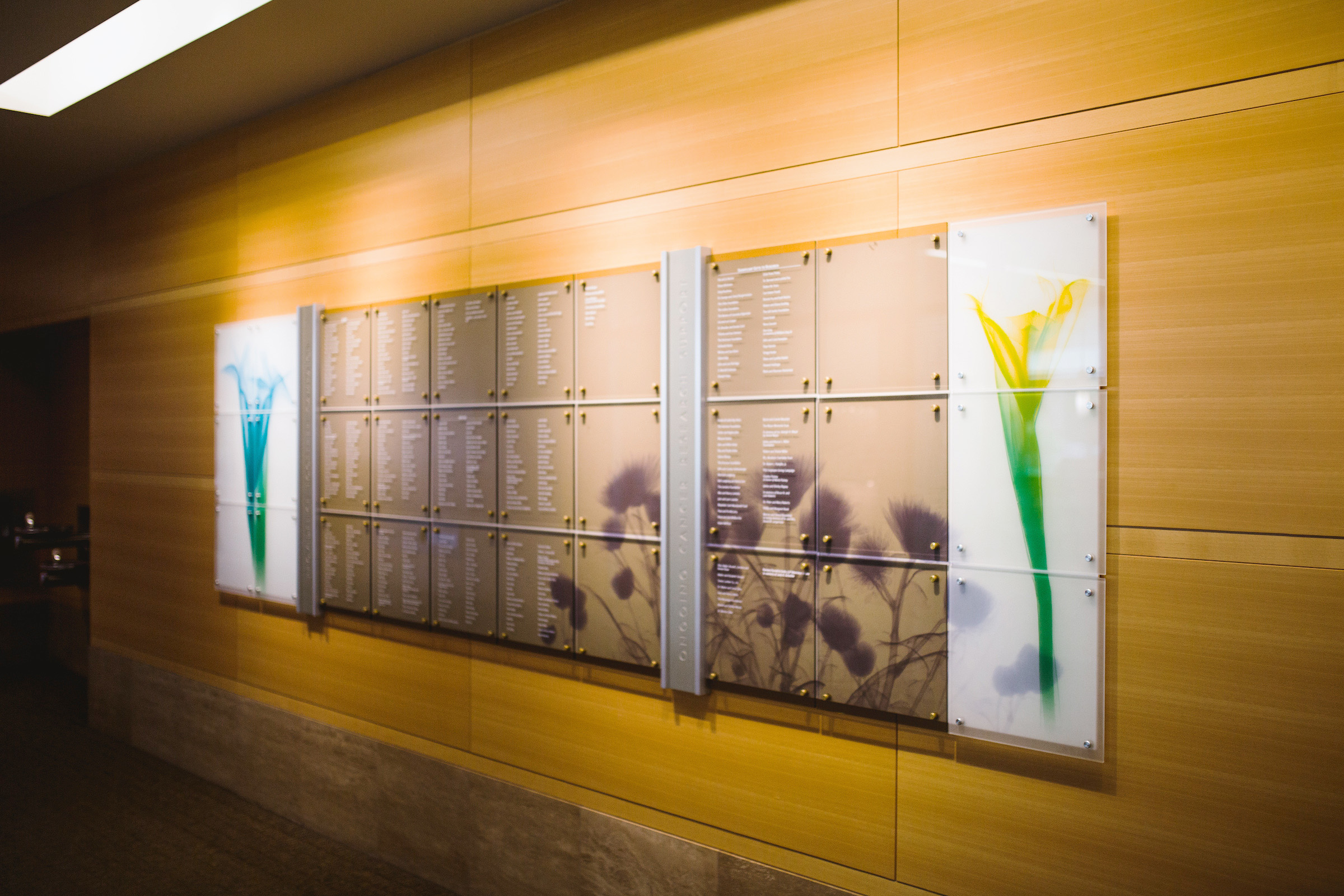 50+ Examples of Donor Recognition and Success Stories – Blog ...