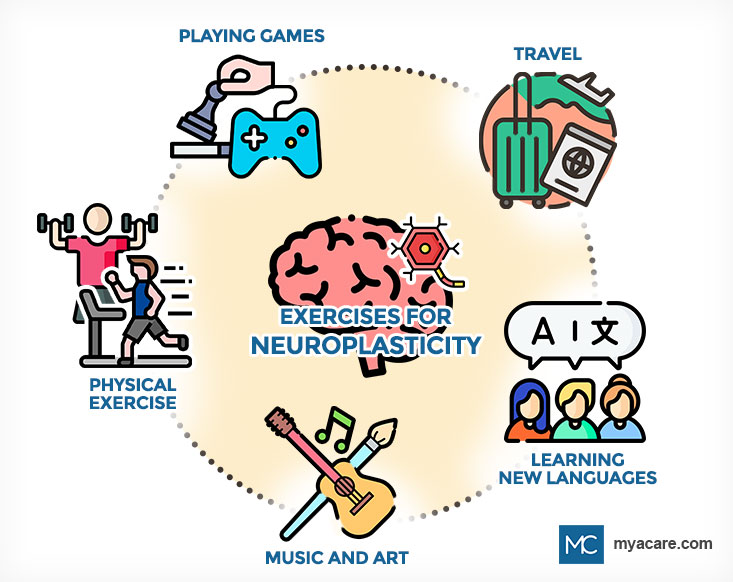 Neuroplasticity Mental Model neuroplasticity-mental-model