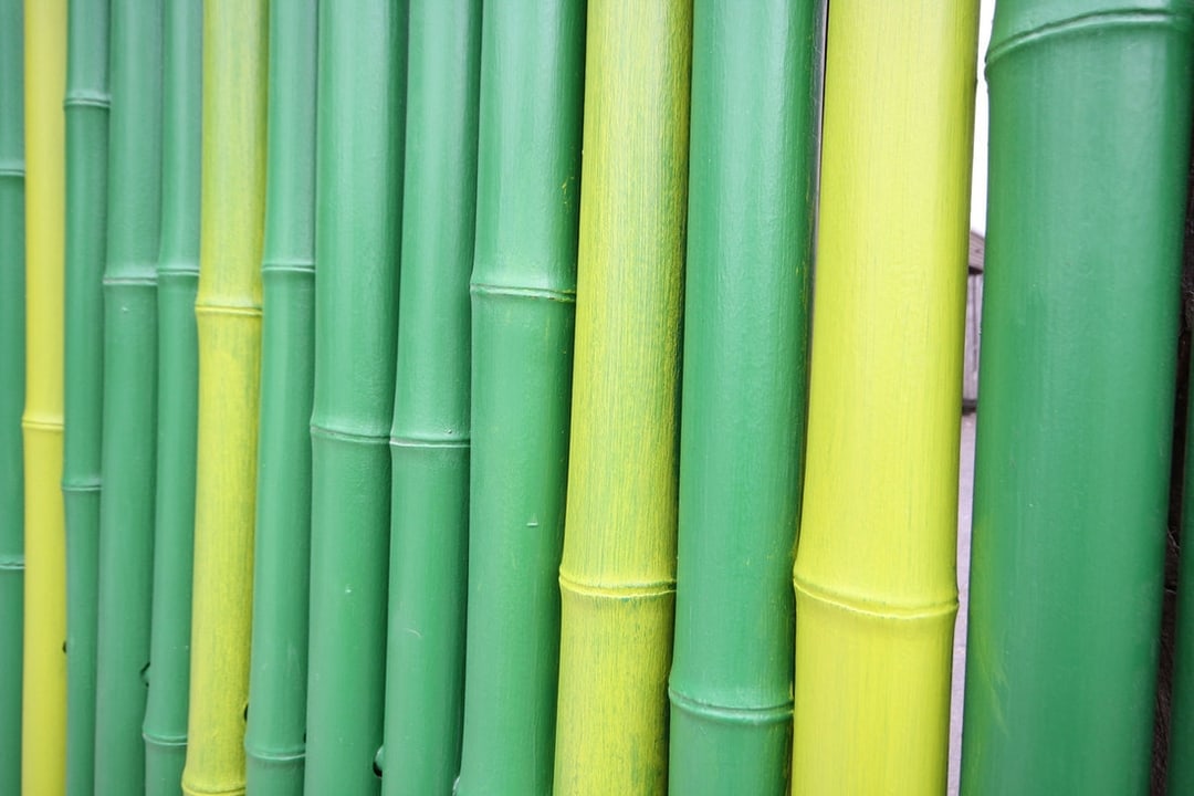 Bespoke Coloured Trees & Branches from plantART