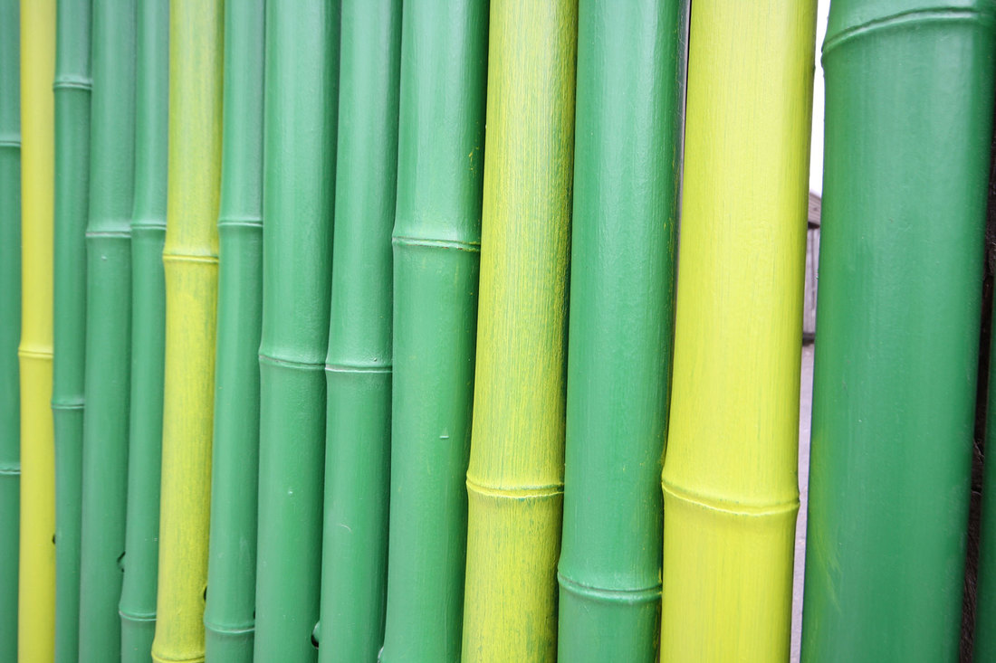 Preserved Coloured Bamboo | plantART Bespoke