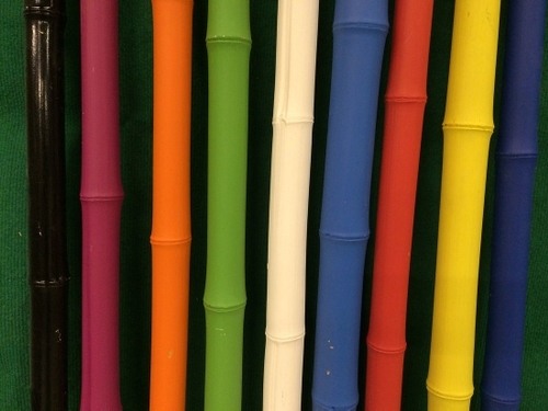 Preserved Coloured Bamboo | plantART Bespoke