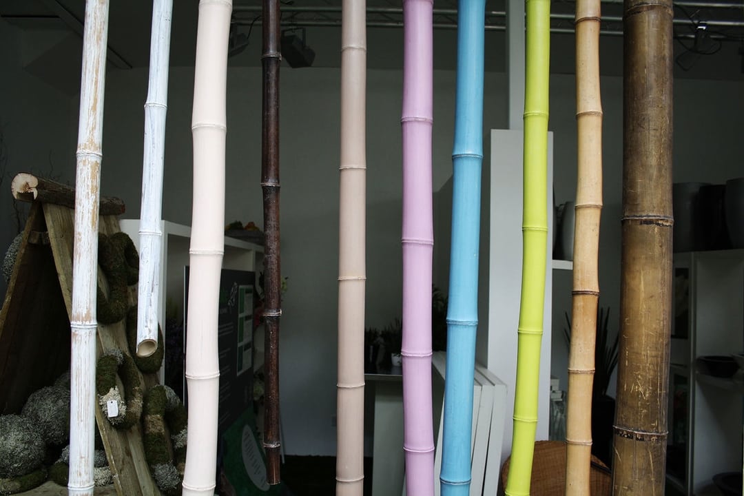 Preserved Coloured Bamboo | plantART Bespoke