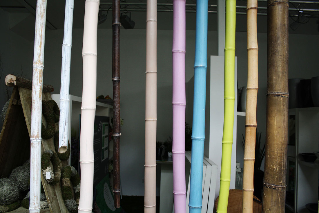 Preserved Coloured Bamboo | plantART Bespoke