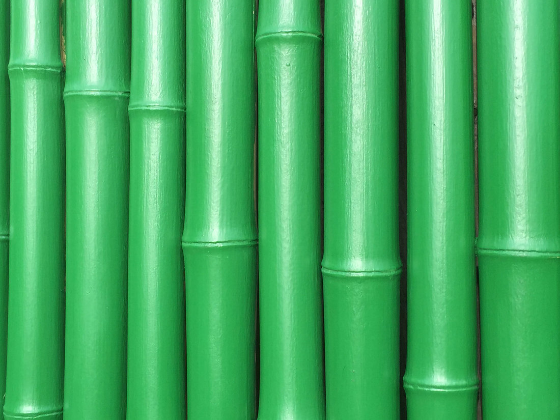 Preserved Coloured Bamboo | plantART Bespoke