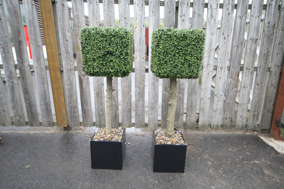 Bespoke Artificial Topiary from plantART