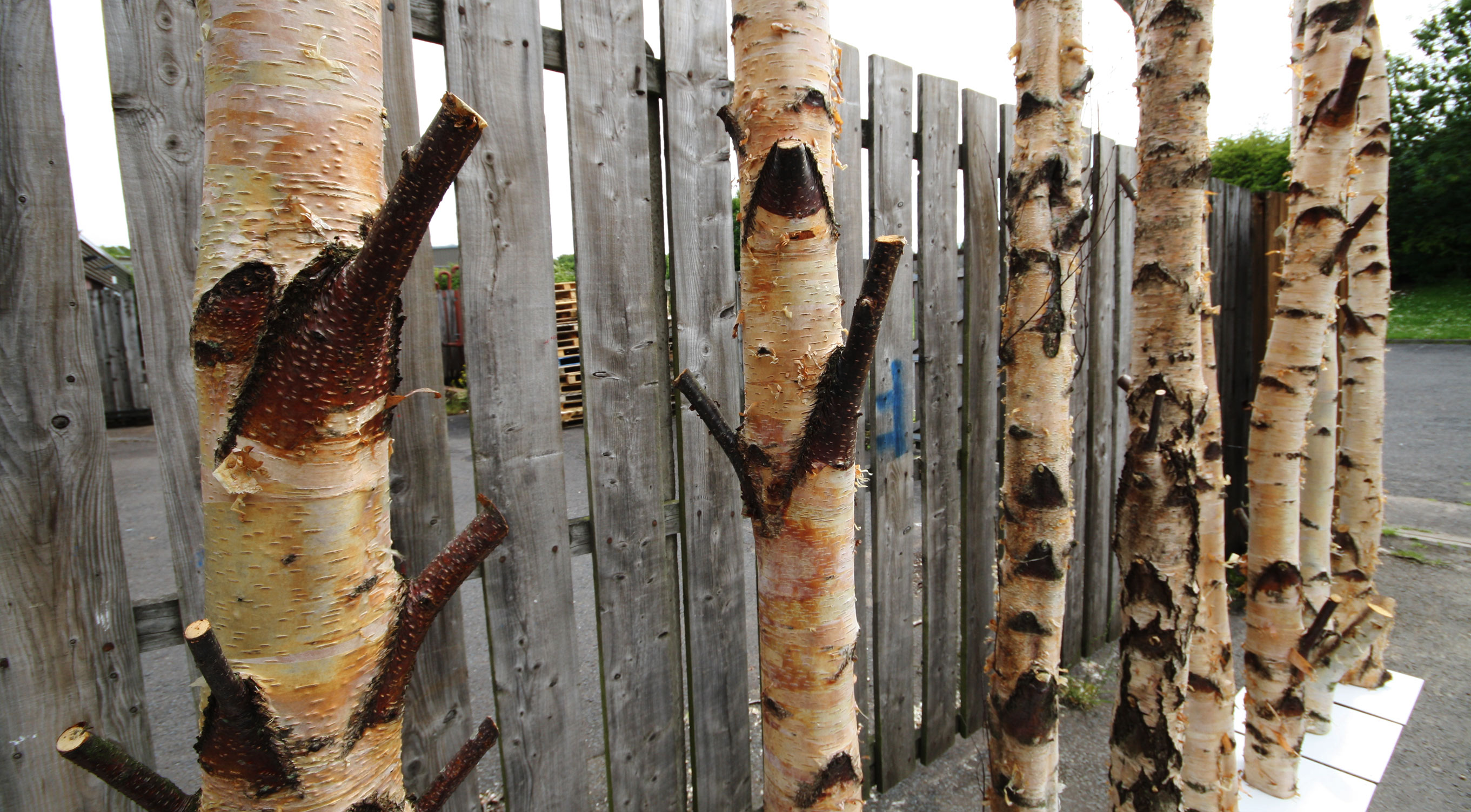 The ultimate Silver Lining? | plantART | Artificial Trees Blog