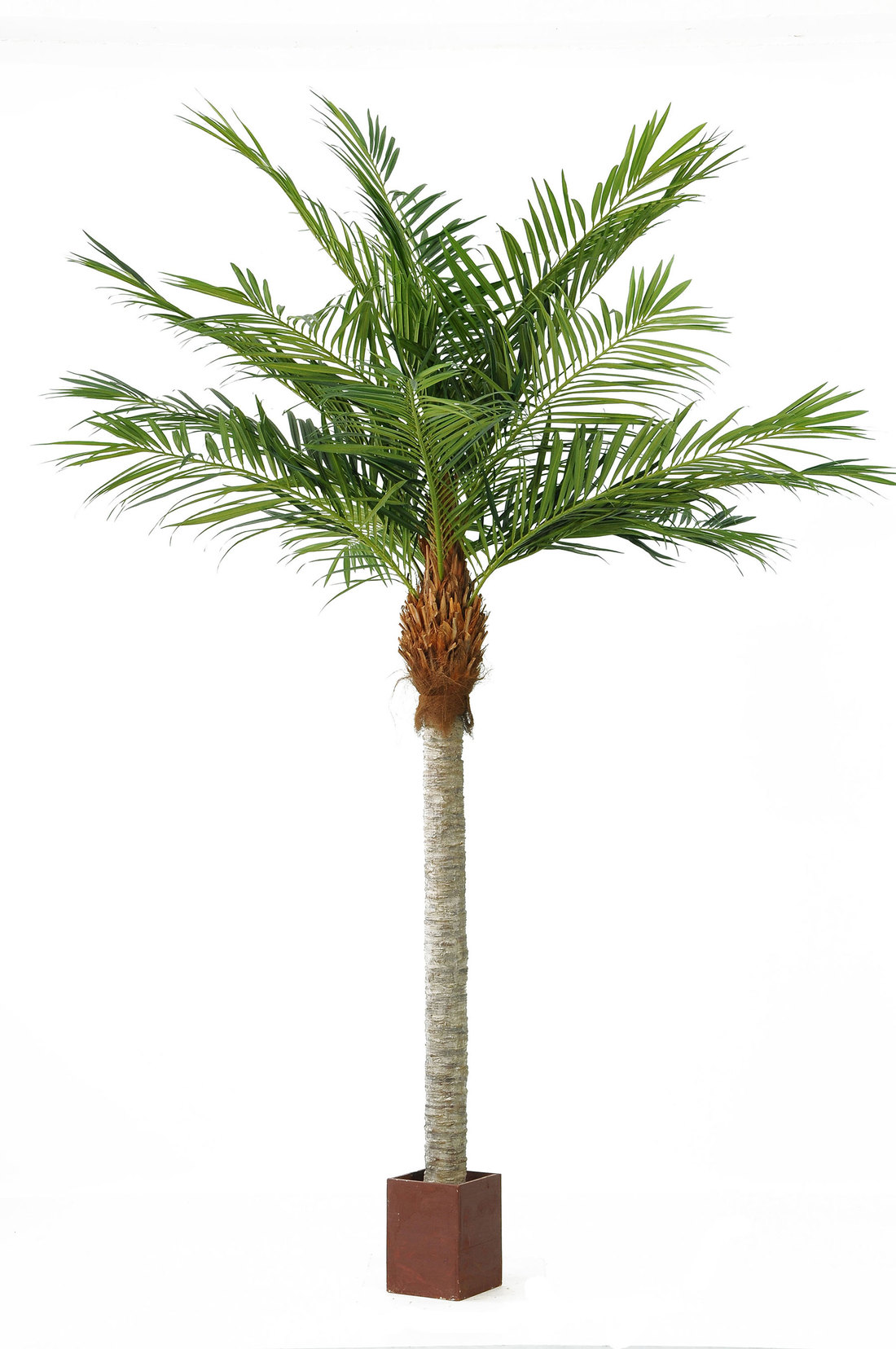 Artificial Palm Trees | plantART Bespoke