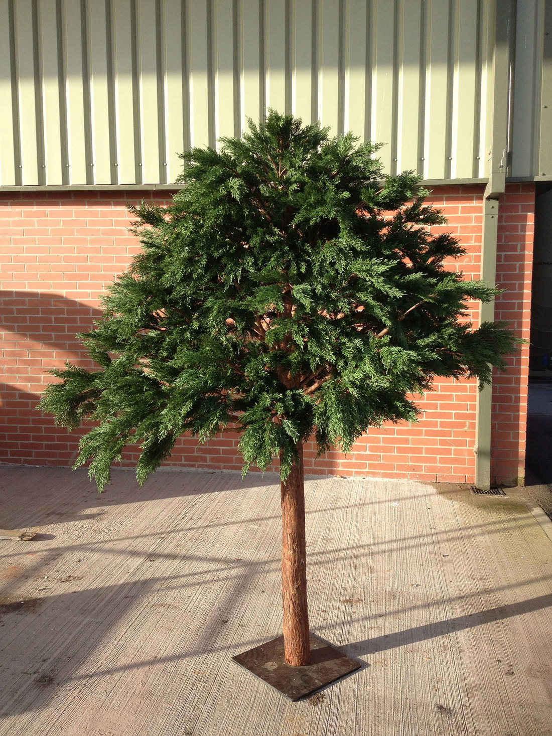 Artificial Cypress Trees | plantART Bespoke