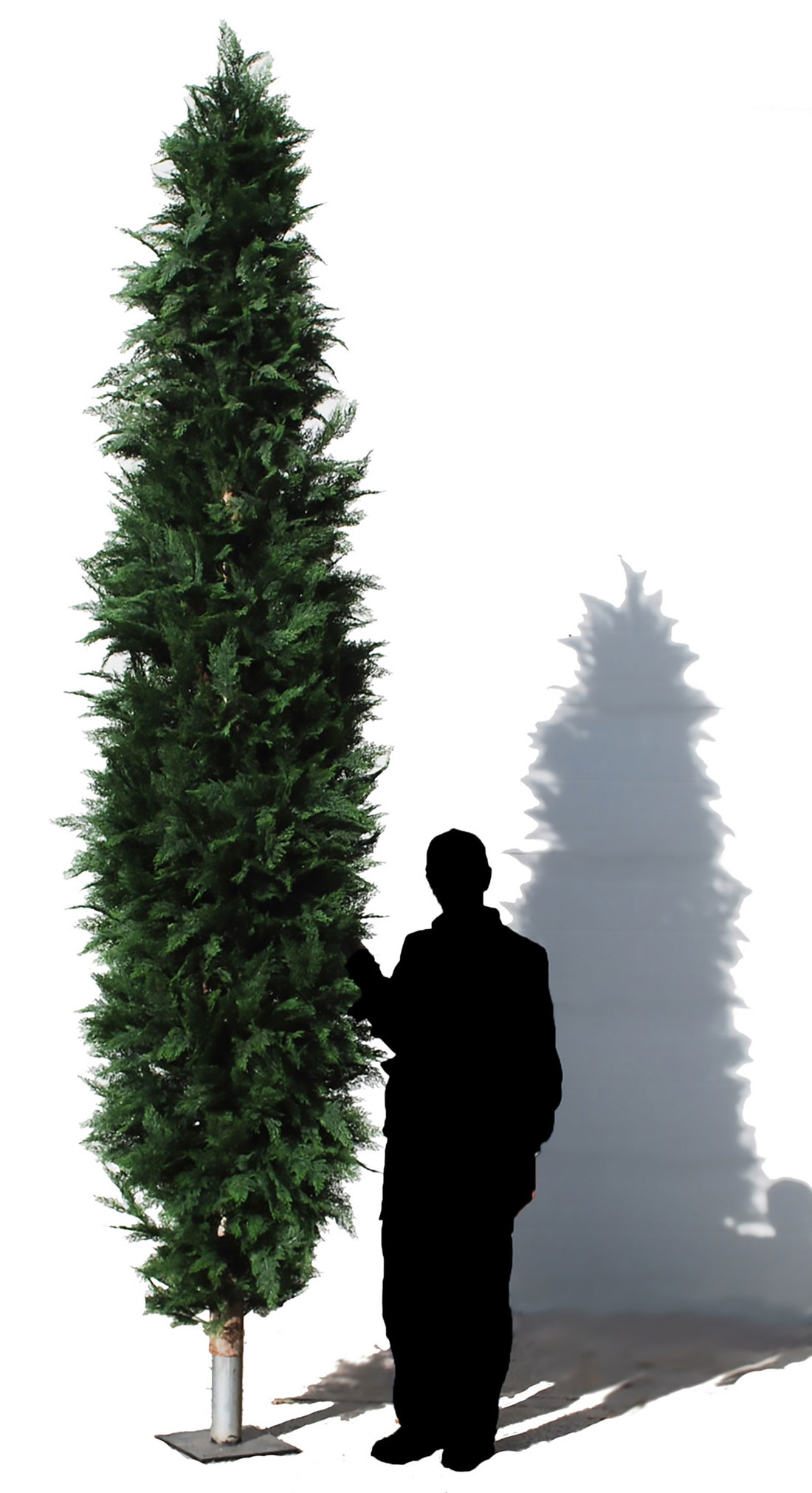 Artificial Cypress Trees | plantART Bespoke
