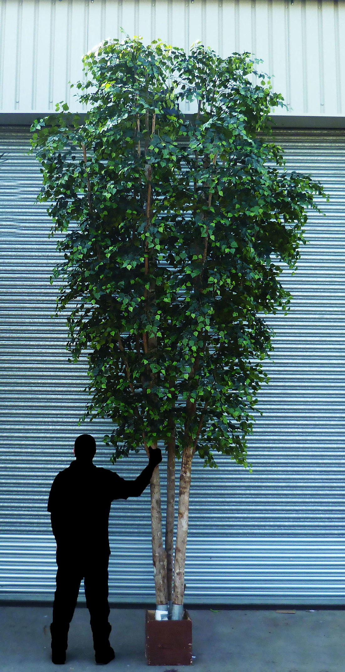 Artificial Green Birch Trees | plantART Bespoke