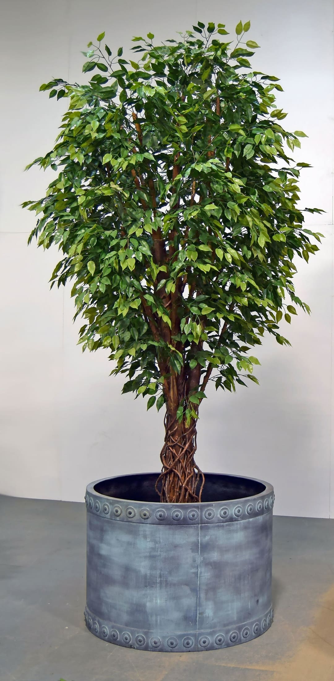 Artificial Ficus Trees | plantART Bespoke