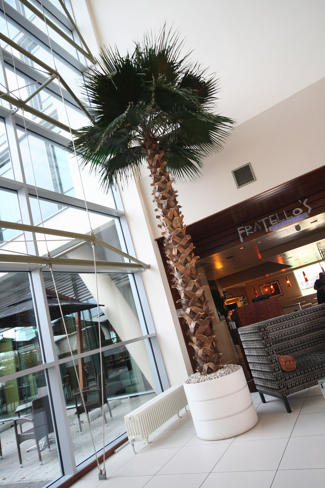 Bespoke Artificial Trees Example - Hilton Newcastle Airport