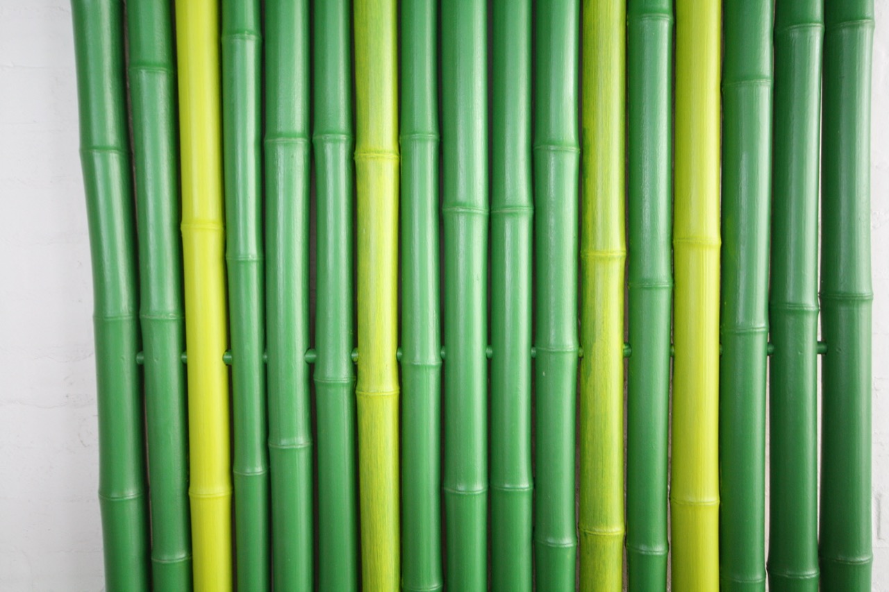Preserved Coloured Bamboo | plantART Bespoke