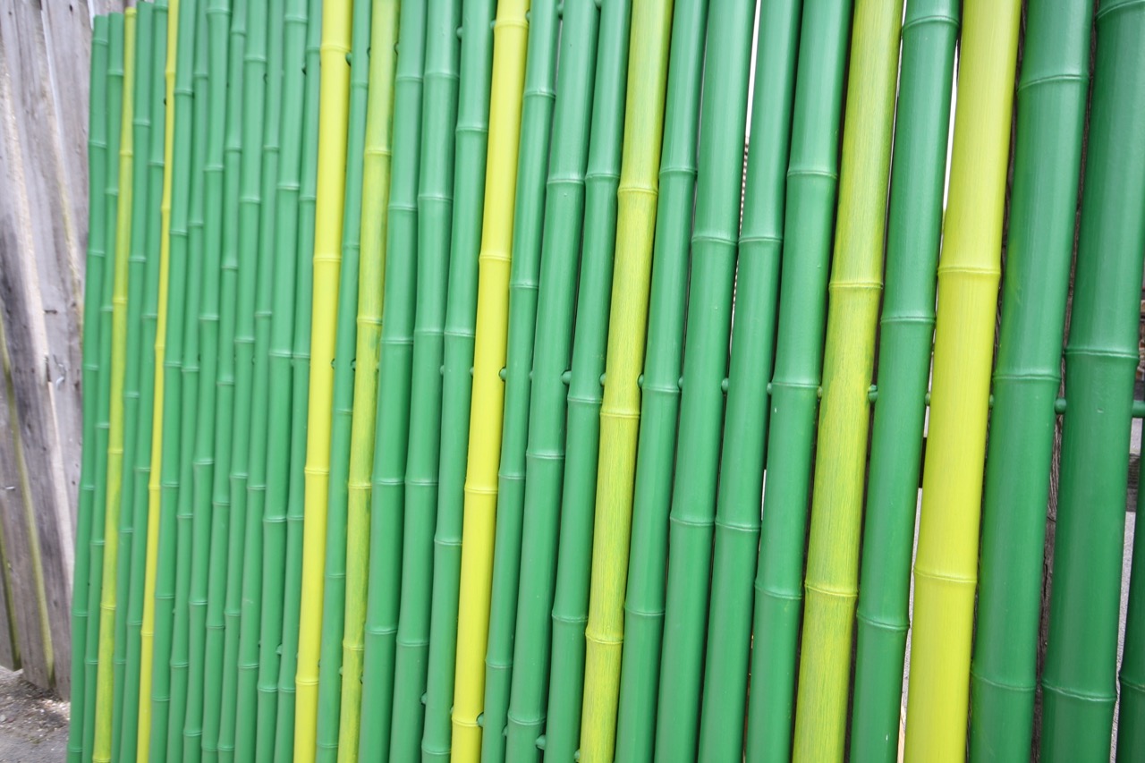 Preserved Coloured Bamboo | plantART Bespoke