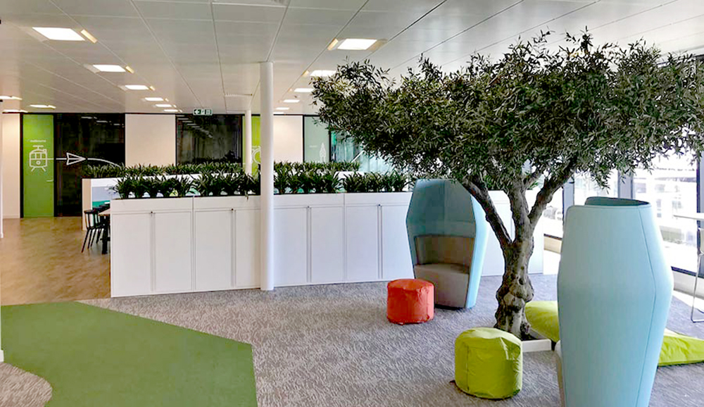 A WOW in the office! | plantART | Artificial Trees Blog