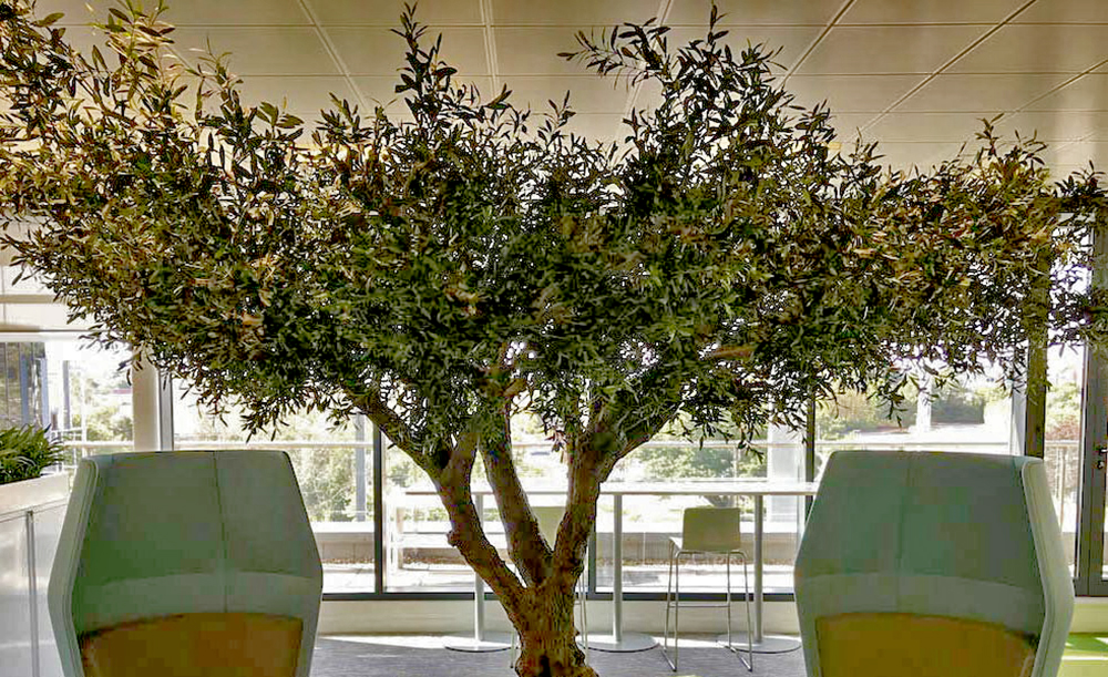 A WOW in the office! | plantART | Artificial Trees Blog