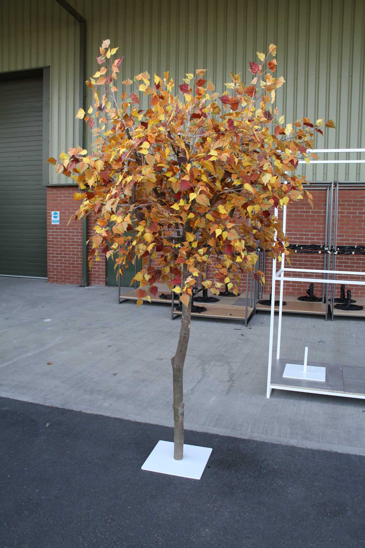 Artificial Autumn Birch Trees with Fake Autumn Foliage | plantART Bespoke