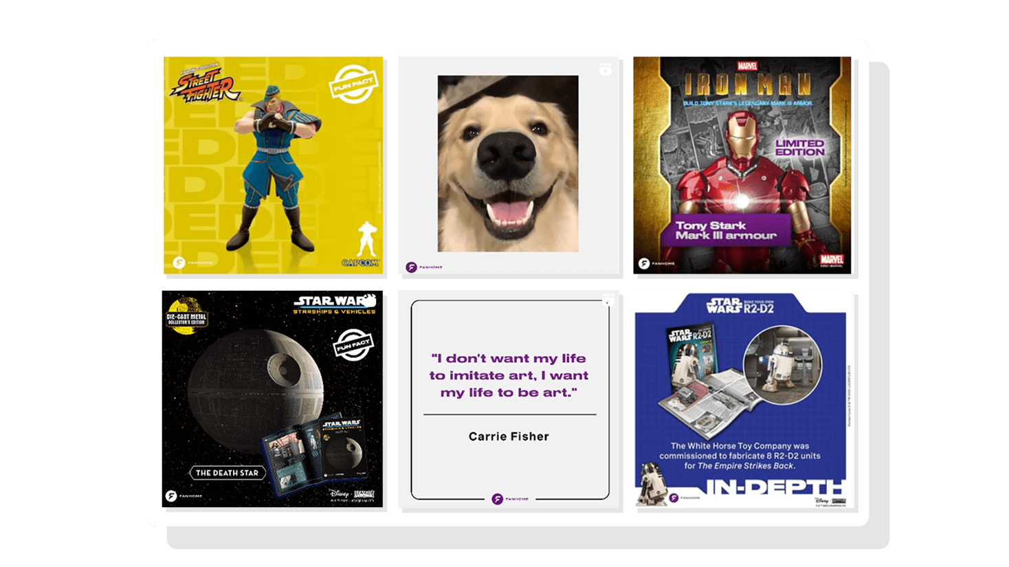 Fanhome - International Social Media Case Study // Smartbrand