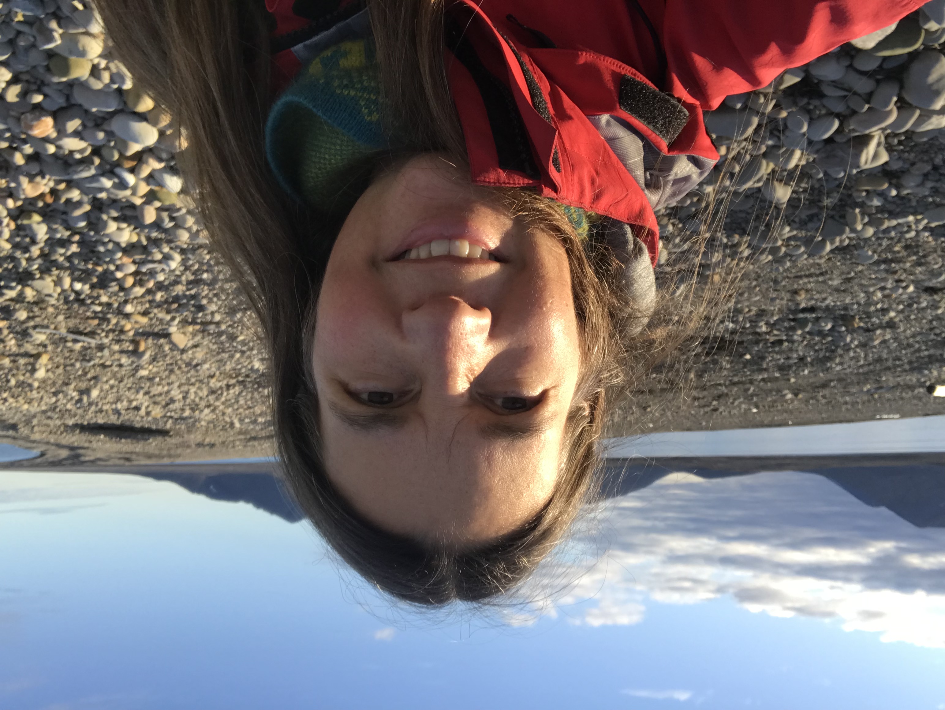 "Diversity and inclusion in earth science education - Is it a problem ...