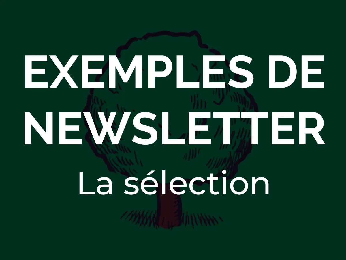 5 exemples de Newsletter à (absolument) connaître pour se lancer 💌