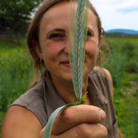 Local Environmental Agriculture Project | LEAP | Roanoke | Virginia ...