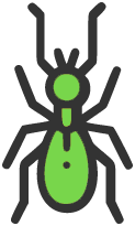 Alta Pest Control | Termite, Mosquito & Pest Control Services
