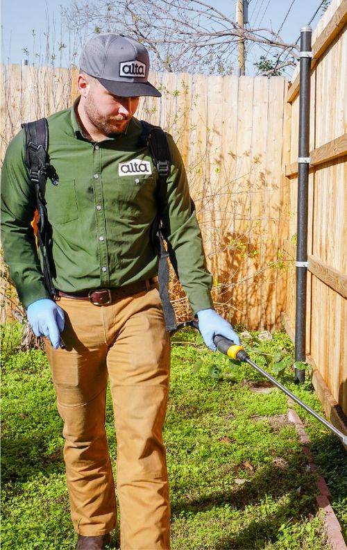 Alta Pest Control | Termite, Mosquito & Pest Control Services