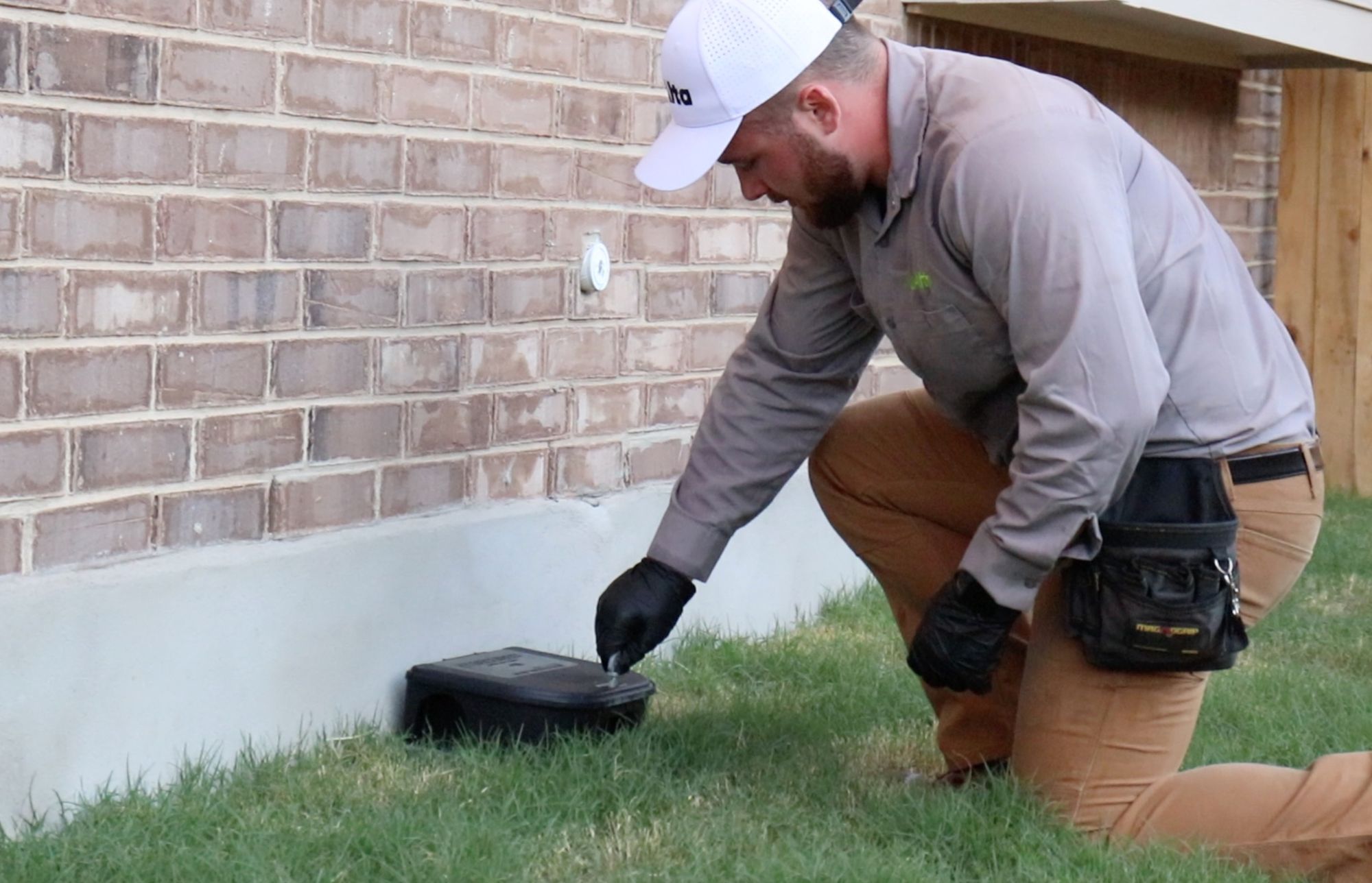 Alta Pest Control | Termite, Mosquito & Pest Control Services