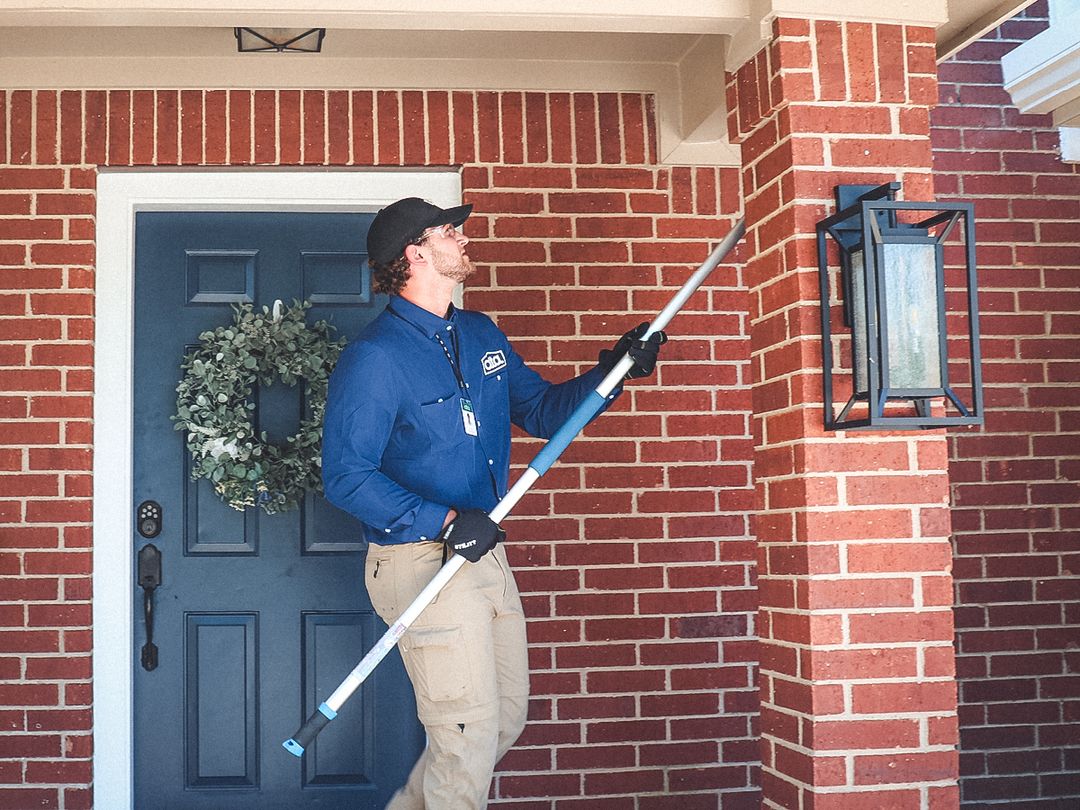 Alta Pest Control | Termite, Mosquito & Pest Control Services