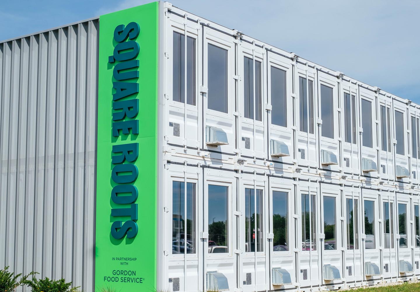 About | Square Roots