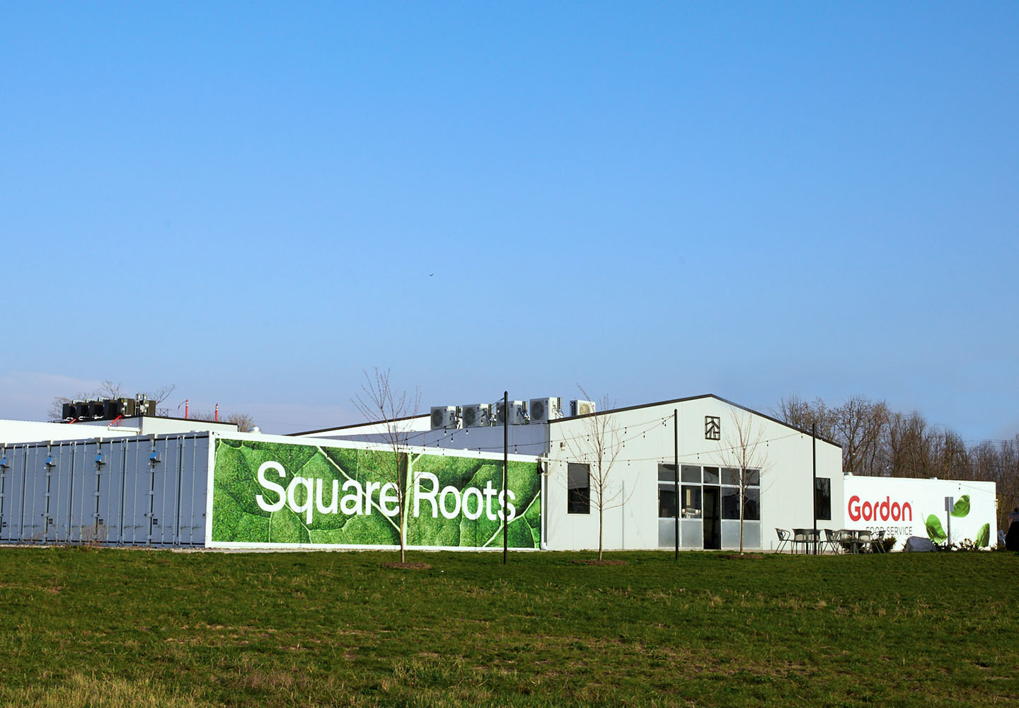 About | Square Roots